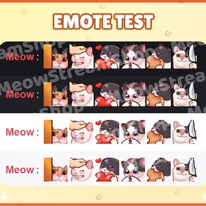 Twitch Emote / Cute Meme Cat Pack #1 Emotes (24 Emotes Ready to Use ...