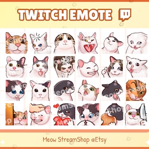 Twitch Emote / Cute Meme Cat Pack #1 Emotes (24 Emotes Ready to Use ...