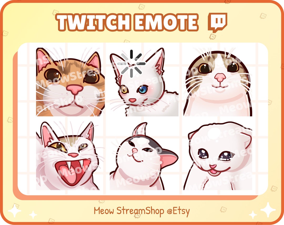 Twitch Emote / Cute Meme Cat Emotes Pack #1 (stare, Buffering, Smile ...