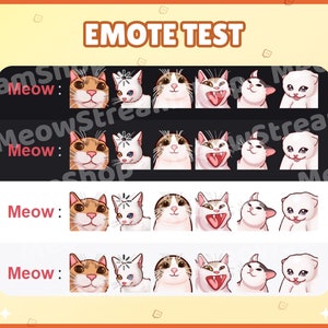 Twitch Emote / Cute Meme Cat Emotes Pack #1 (stare, Buffering, Smile ...