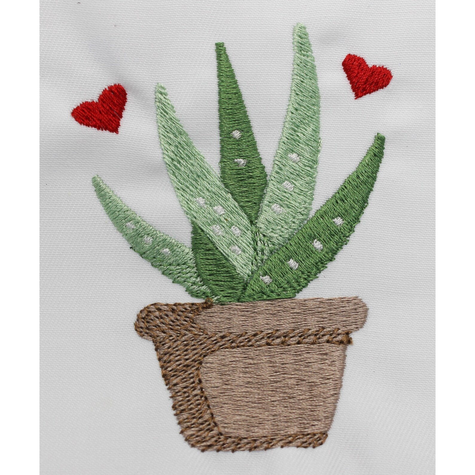 Aloe Vera Plant Embroidery Designs Instant Download 3 Sizes - Etsy