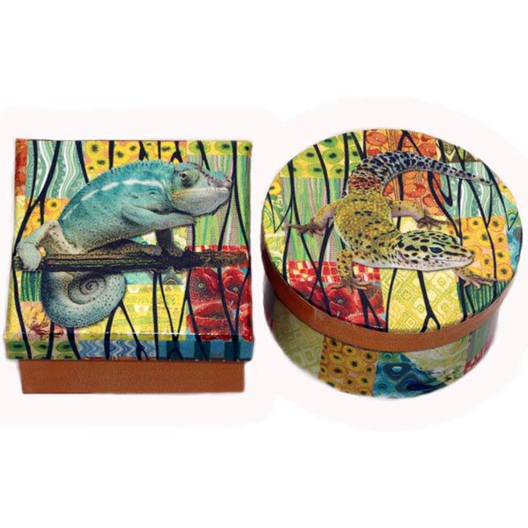 Paper Boxes Chameleon Set/2 Boxes - Etsy