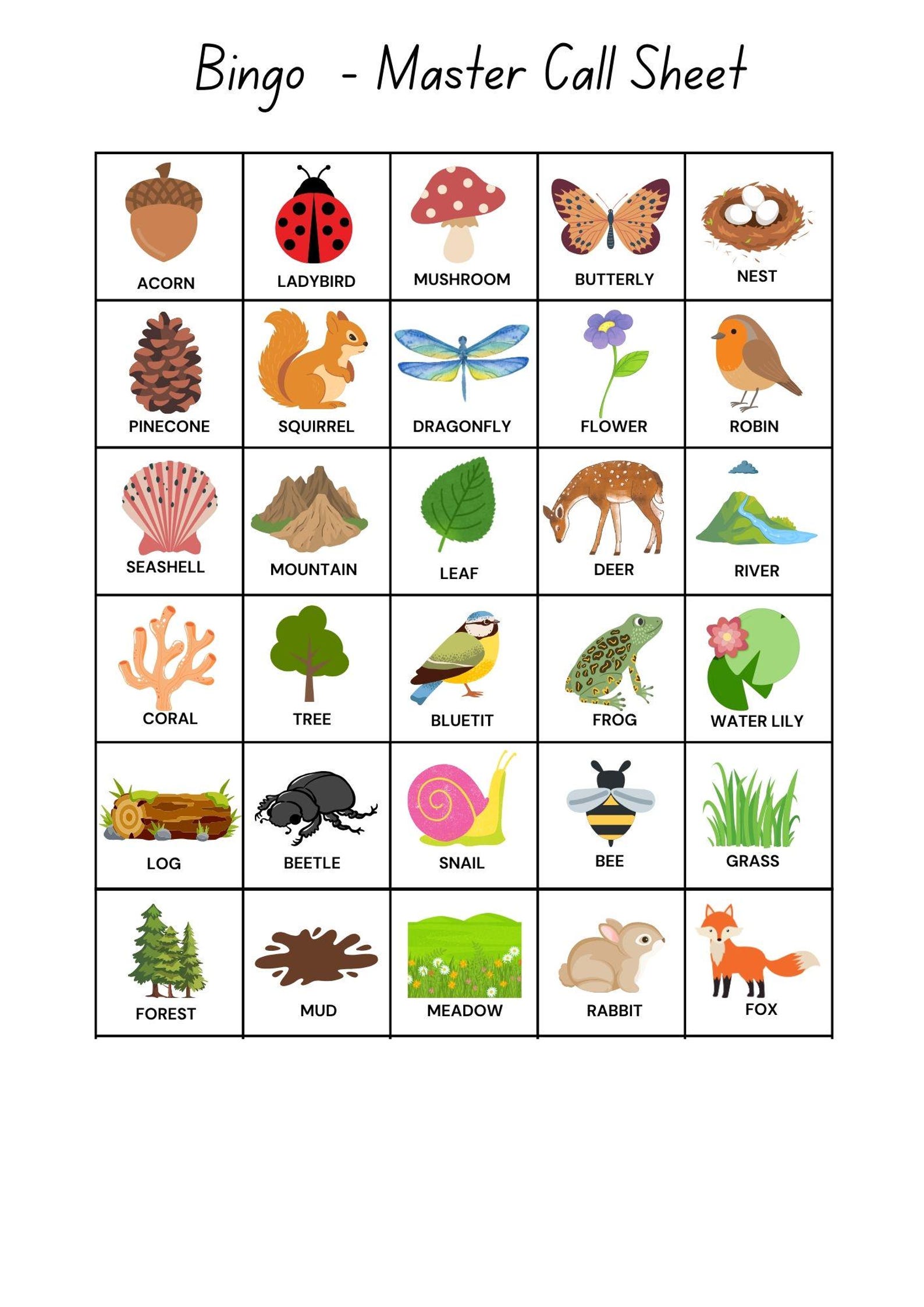 Nature Bingo Game: Outdoor Scavenger Hunt, 20 Printable Cards (PDF ...