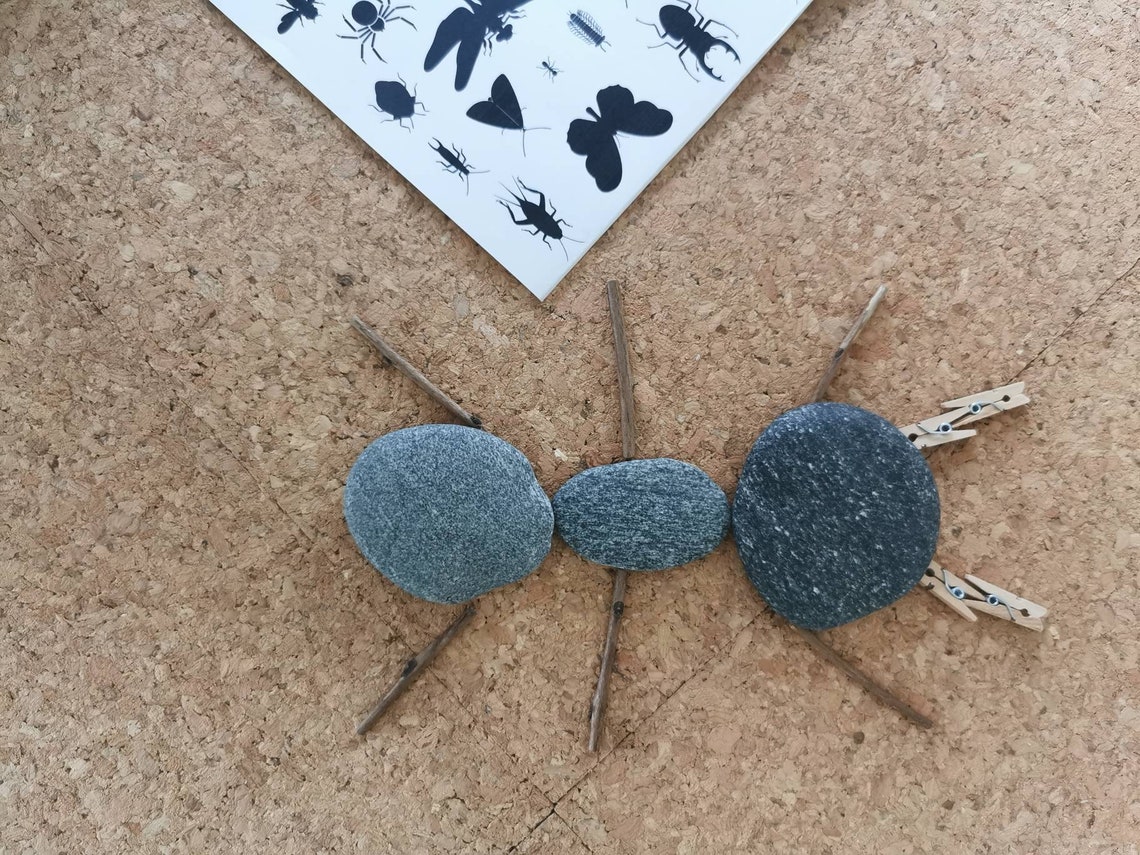 Build a bug loose parts play tinkerED mini kit | Etsy