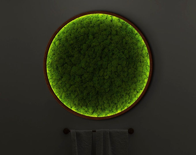 Preserved Moss Wall Decor With Led, Natural Dried Moss Wall Art ...