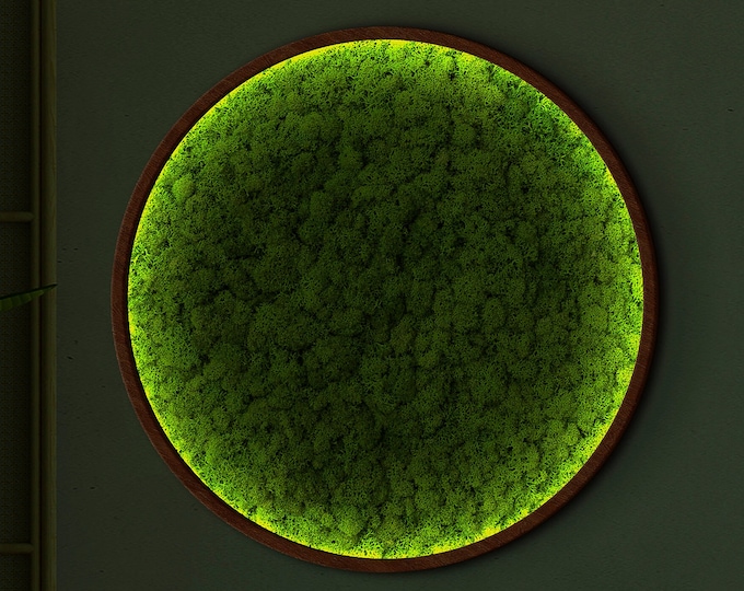 Gorgeous Moss Wall Art Greenery With LED Lights Live Moss LED Artwork ...