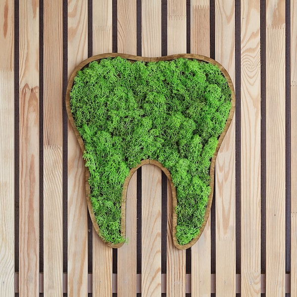 Dental Office Tooth Wall Decor - Etsy