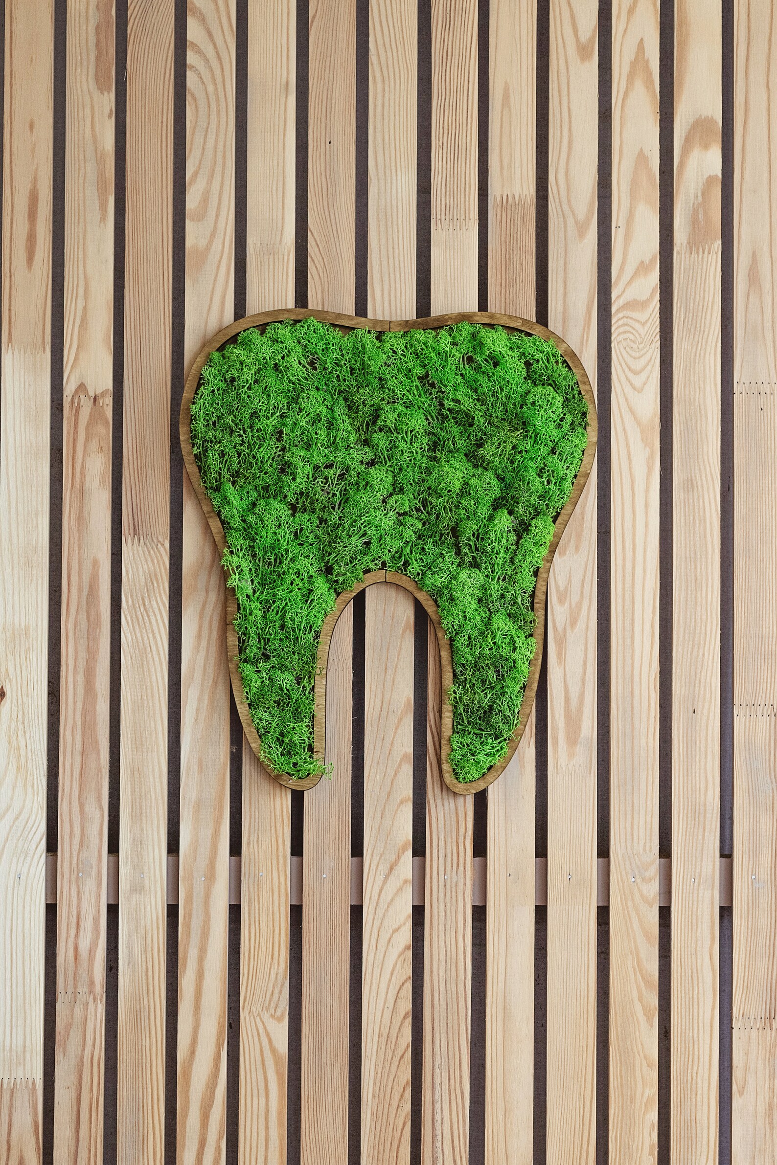 Dental Wall Art Dental Wall Decor Tooth Wall Decor Dental - Etsy