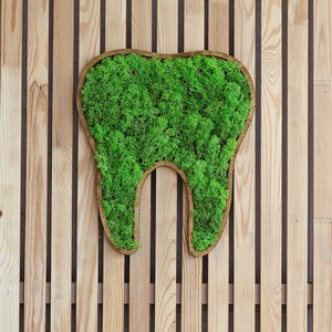 Dental Wall Art, Dental Wall Decor, Tooth Wall Decor, Dental Office ...