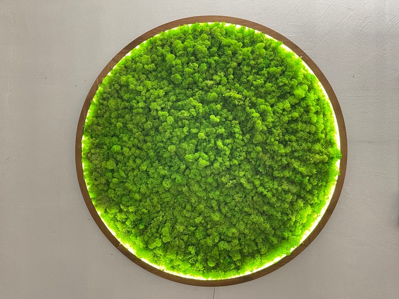 Preserved Moss Wall Decor With Led, Natural Dried Moss Wall Art ...