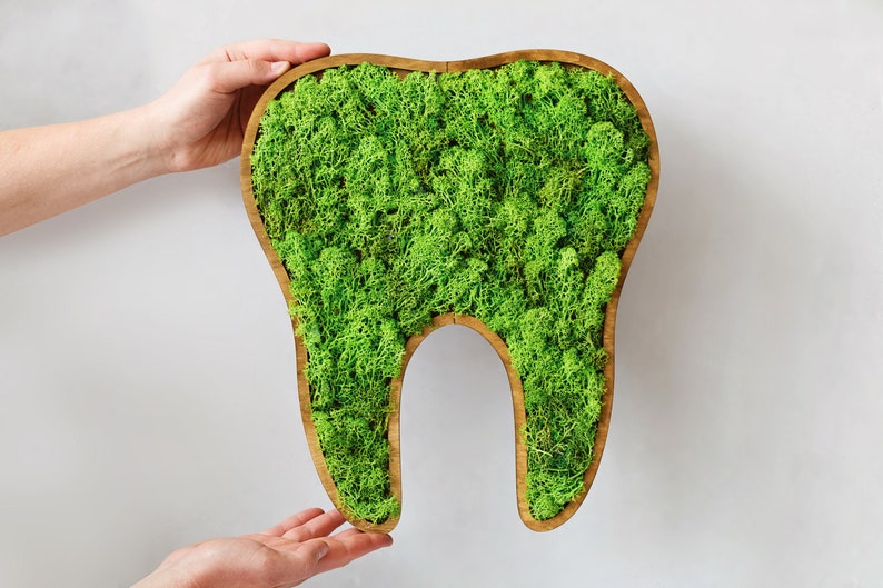 Dental Wall Art Dental Wall Decor Tooth Wall Decor Dental - Etsy