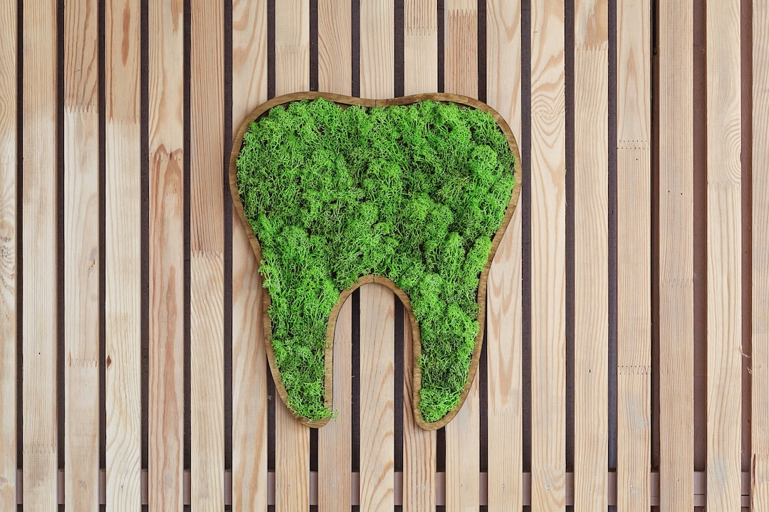 Dental Wall Art, Dental Wall Decor, Tooth Wall Decor, Dental Office ...