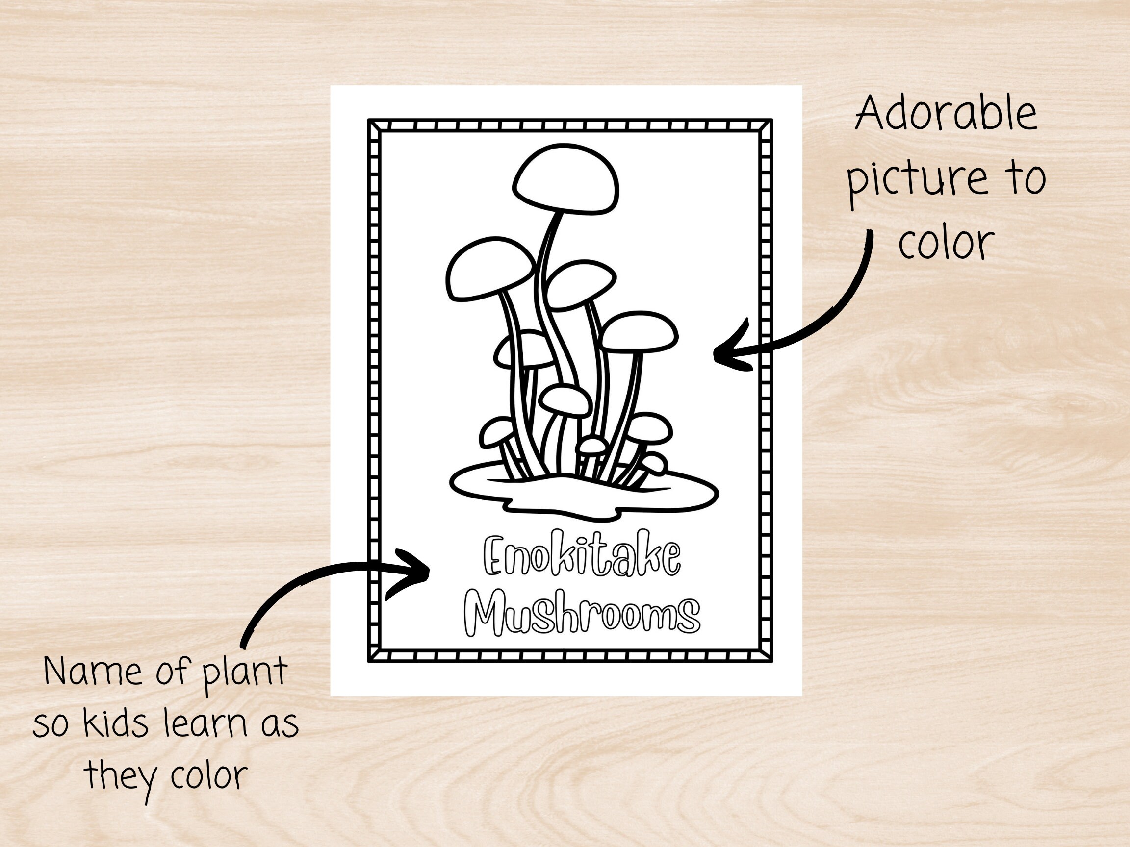 Nature Coloring Pages for Kids. Homeschooling Resource. Plants Coloring ...