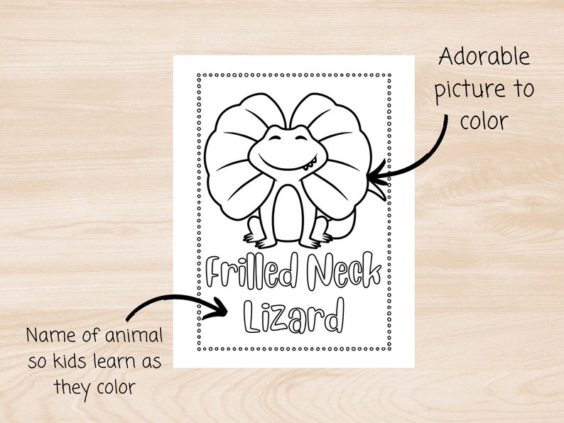 Cute Animal Coloring Page Bundle. Printable Activity for Kids. - Etsy
