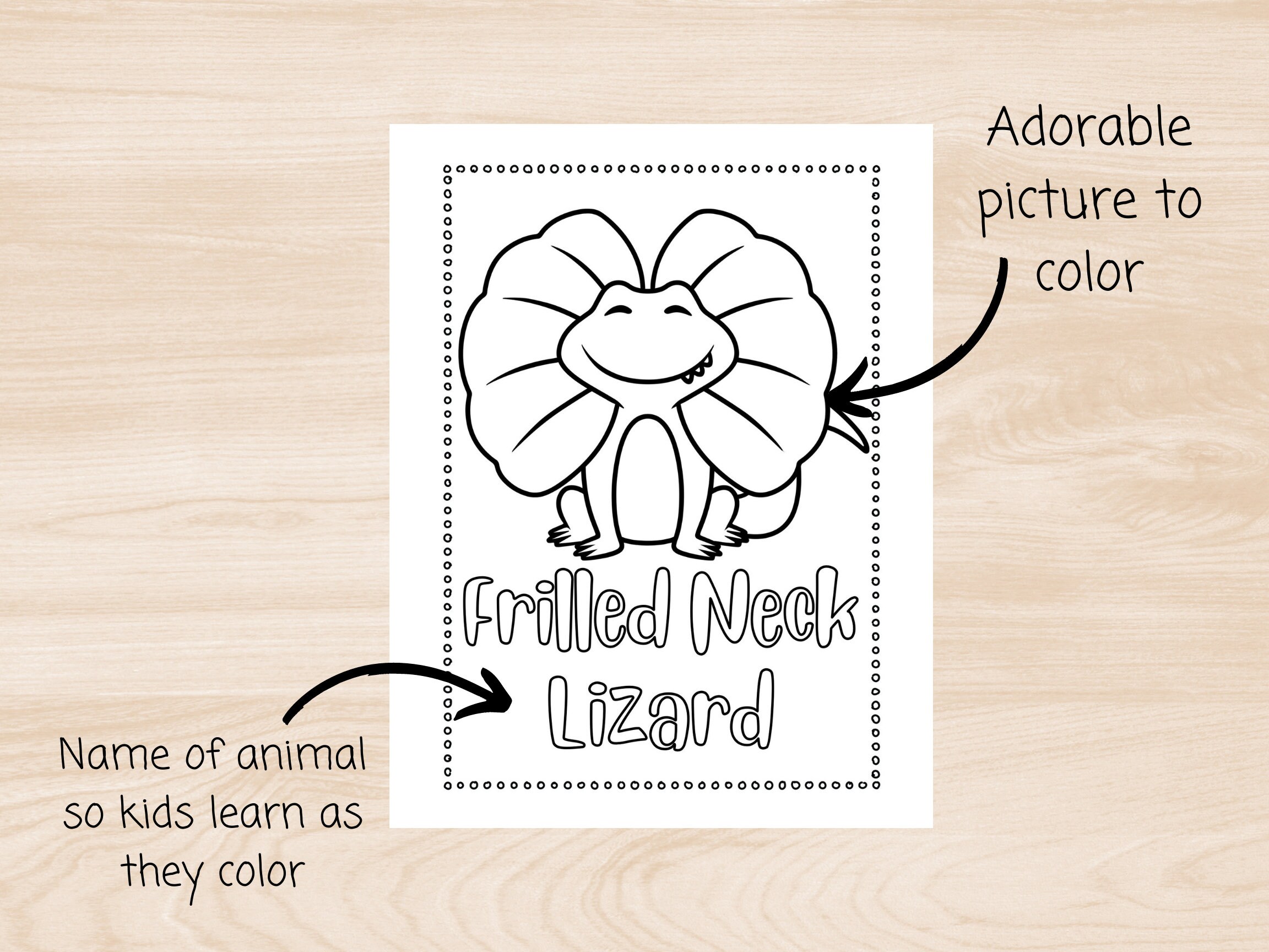 Cute Animal Coloring Page Bundle. Printable Activity for Kids ...