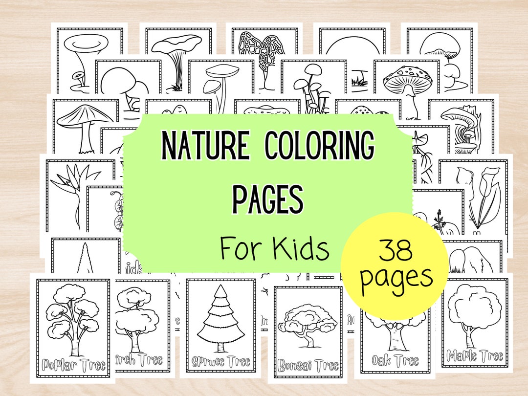 Nature Coloring Pages for Kids. Homeschooling Resource. Plants Coloring ...