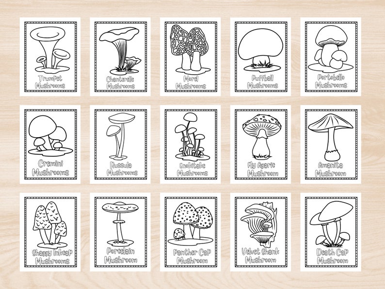 Nature Coloring Pages for Kids. Homeschooling Resource. Plants Coloring ...