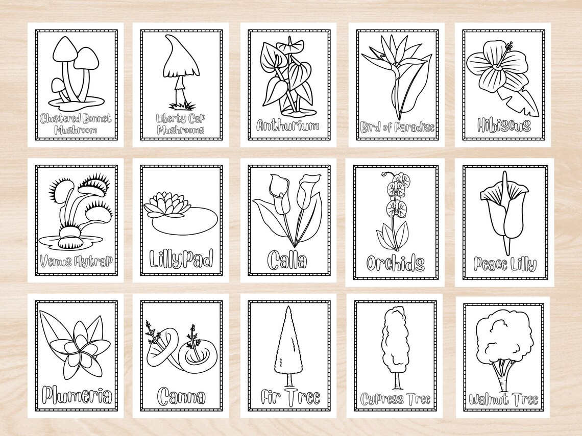 Nature Coloring Pages for Kids. Homeschooling Resource. Plants Coloring ...