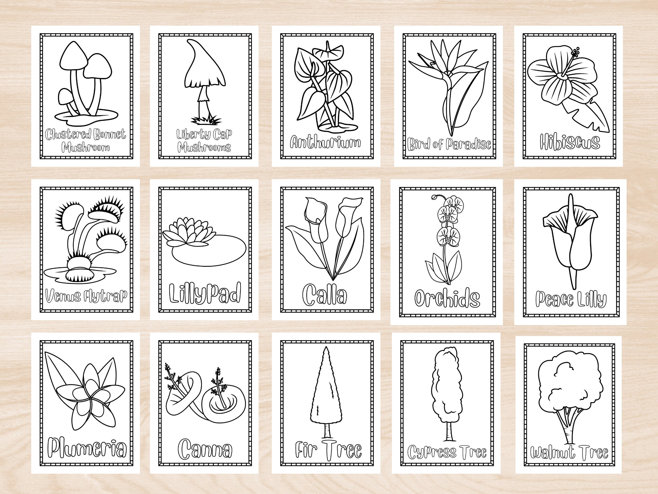 Nature Coloring Pages for Kids. Homeschooling Resource. Plants Coloring ...