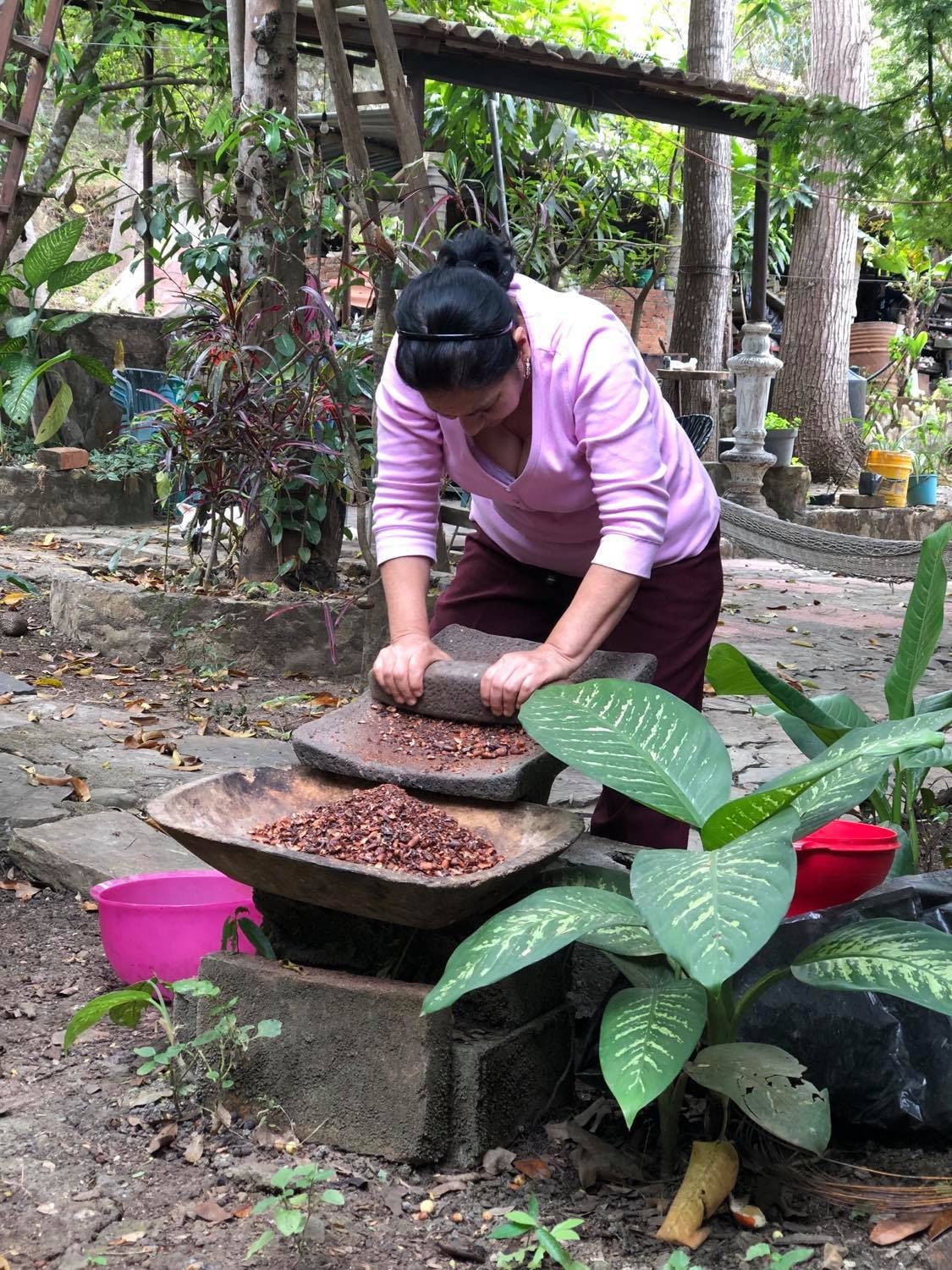 Cafe Capomo Coffee Alternative Coffee Substitute Herbal Coffeemayan Nut ...