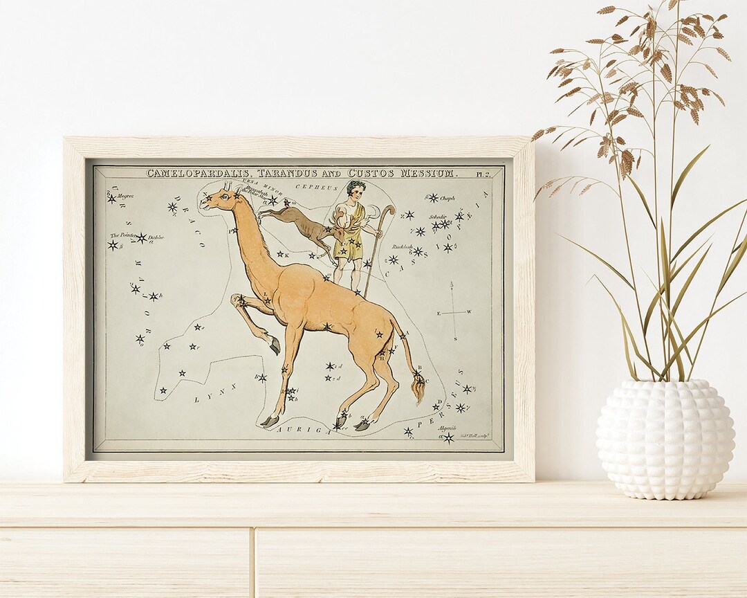 Astronomical Chart Illustration Camelopardalis Sidney Hall 13 ...