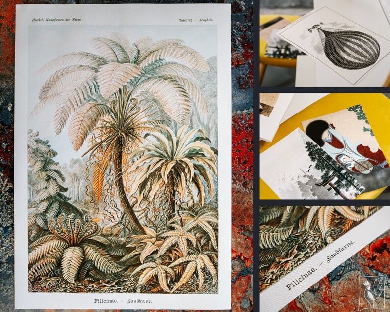 Astronomical Chart Illustration Hercules Constellation Sidney Hall 8 ...