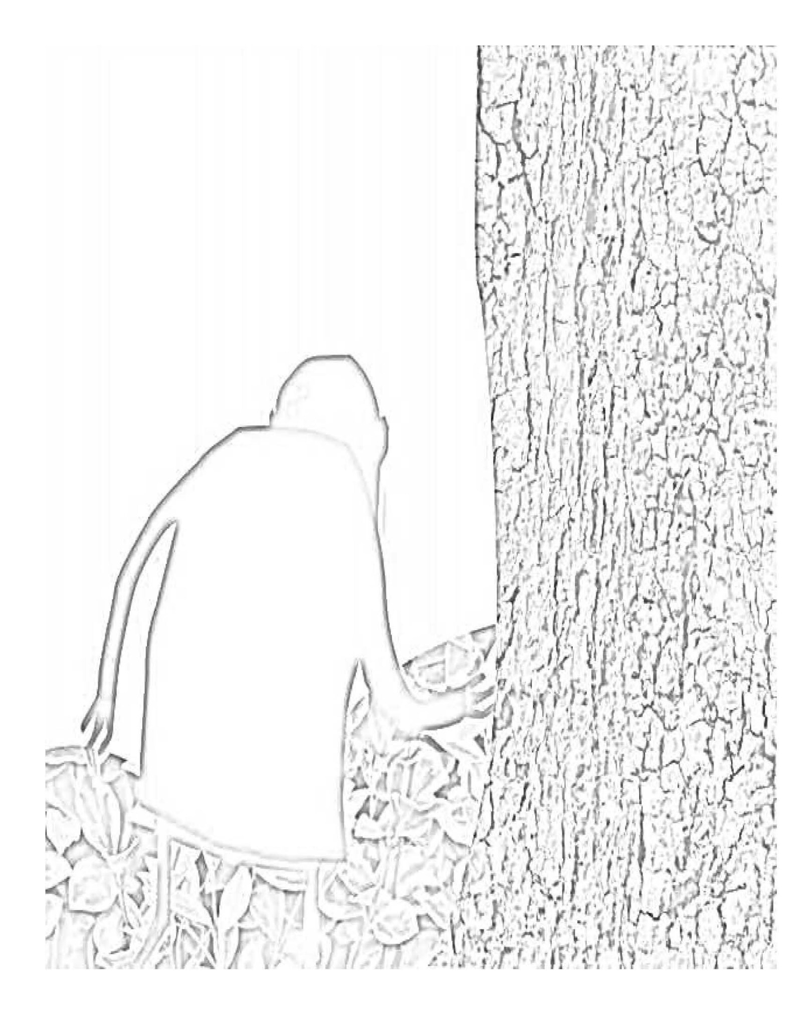 Coloring Book, Section 2 - Instant Download - the Old Man and the Tree ...