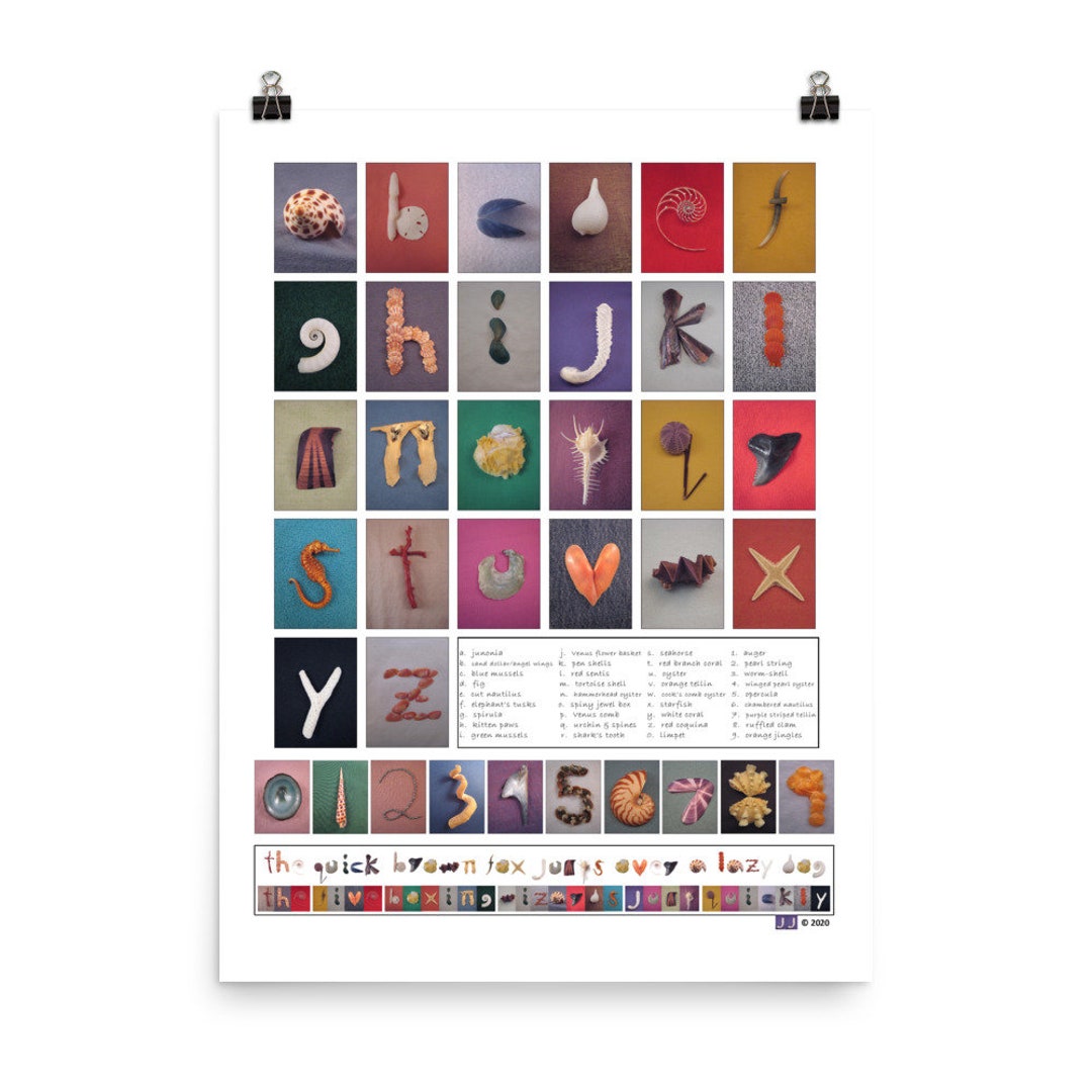 Seashell and Marine Life Alphabet Art Poster via Printful - Etsy