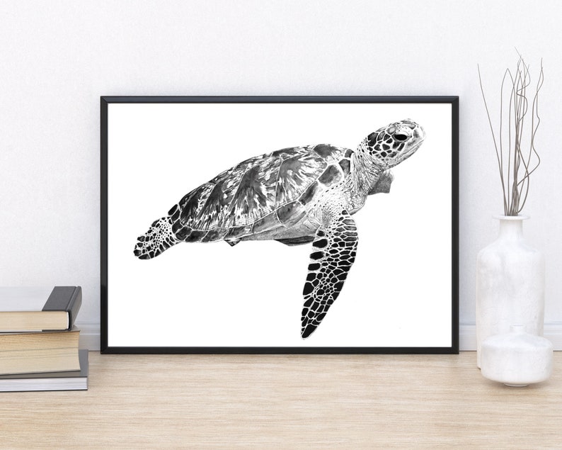 Green Sea Turtle Drawing A5/A4 Ocean Artwork - Nature - Wildlife ...