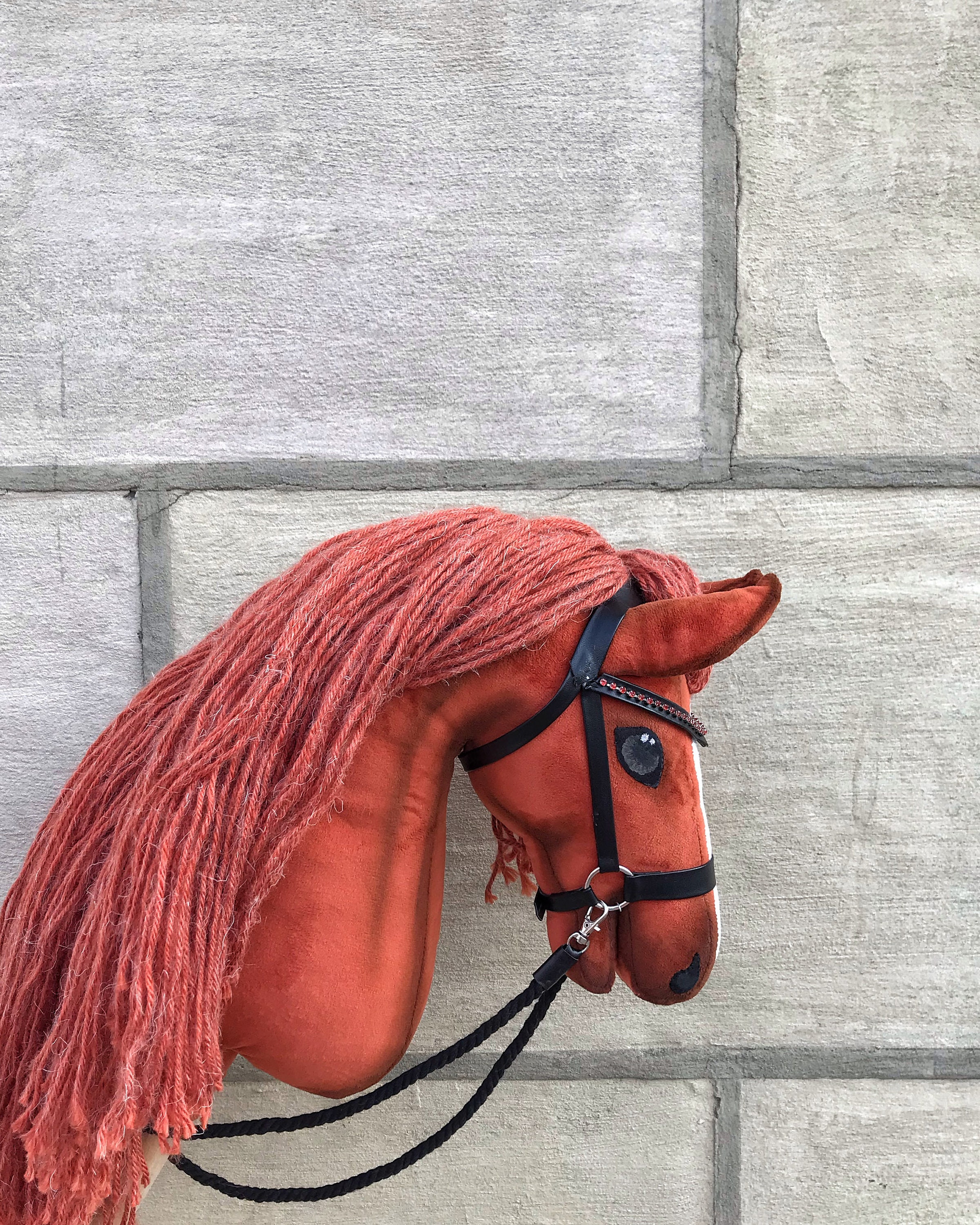 What Is Hobby Horse Riding at Sean Hawker blog