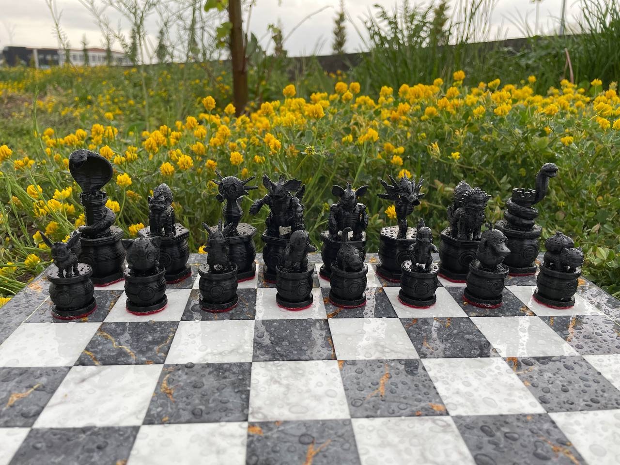 Pokemon Chess Set w Pokemon Pieces with Board Handmade 3D | Etsy