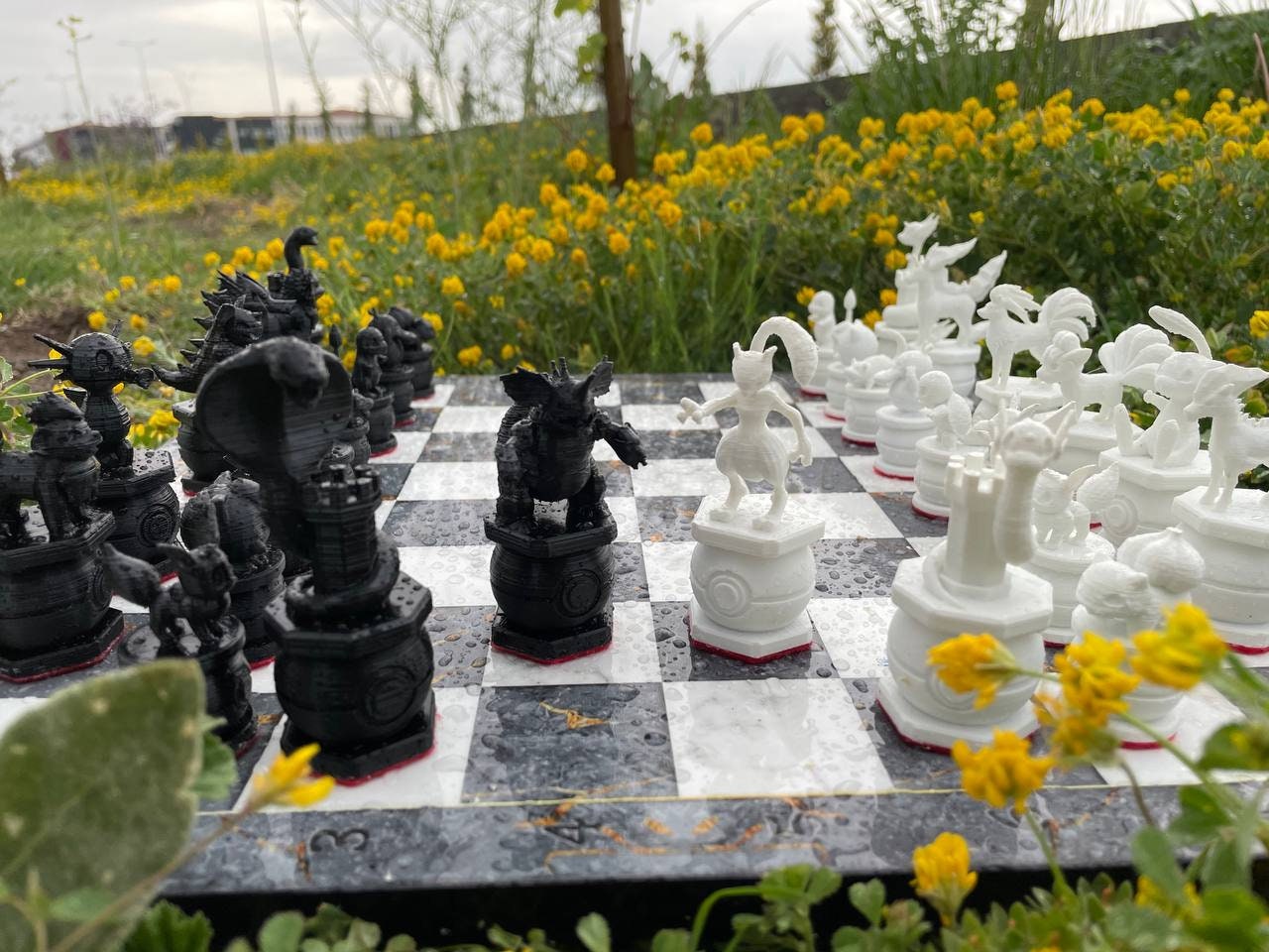 Pokemon Chess Set W Pokemon Pieces With Board Handmade 3D - Etsy Australia