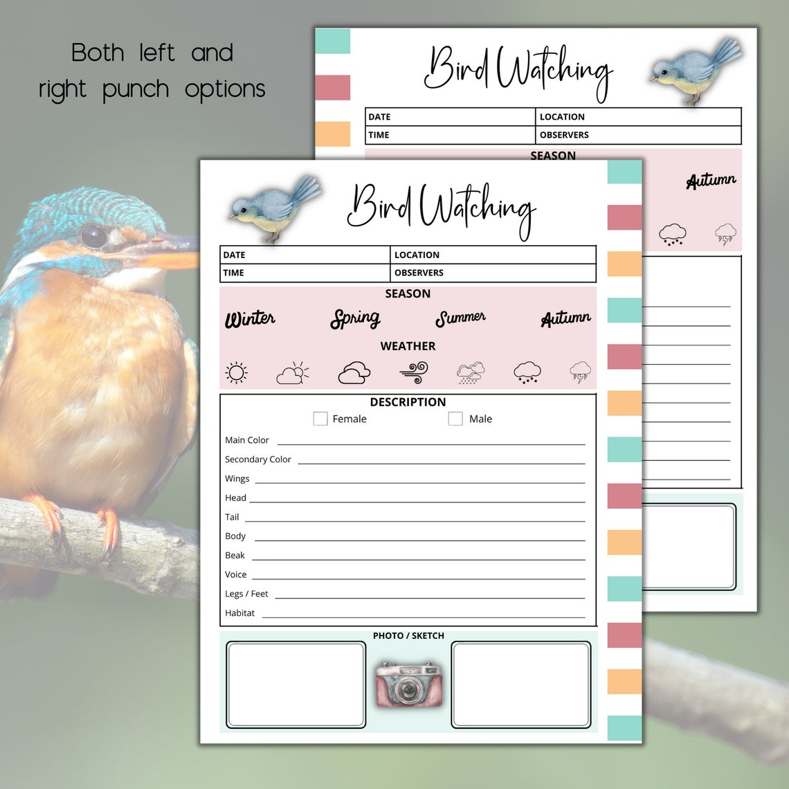 Bird Watching Log Book Homeschool Bird Log Bird Journal - Etsy