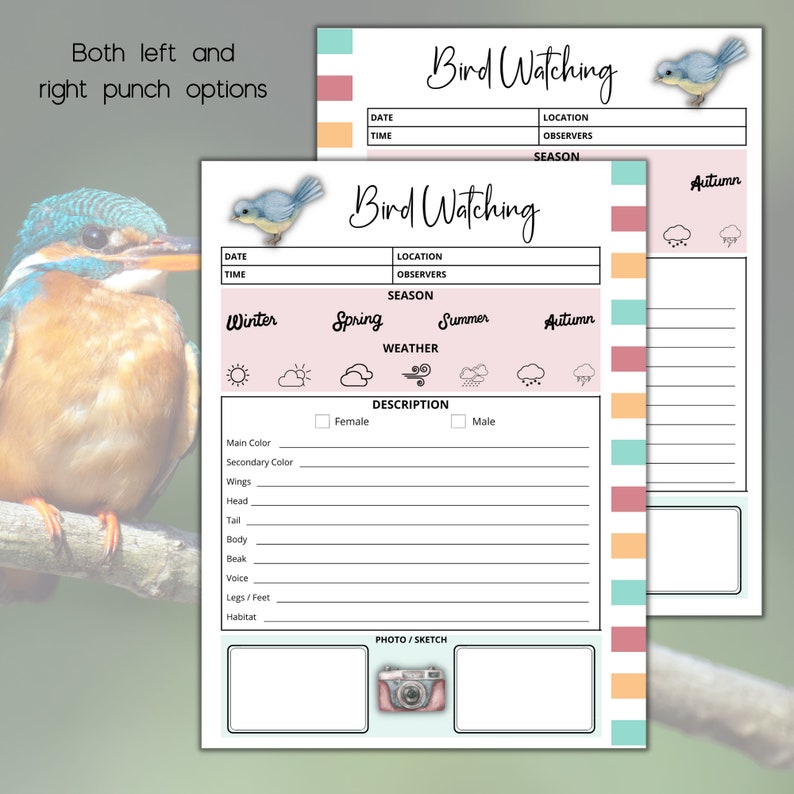 Bird Watching Log Book, Homeschool Bird Log, Bird Journal, Bird Watch ...