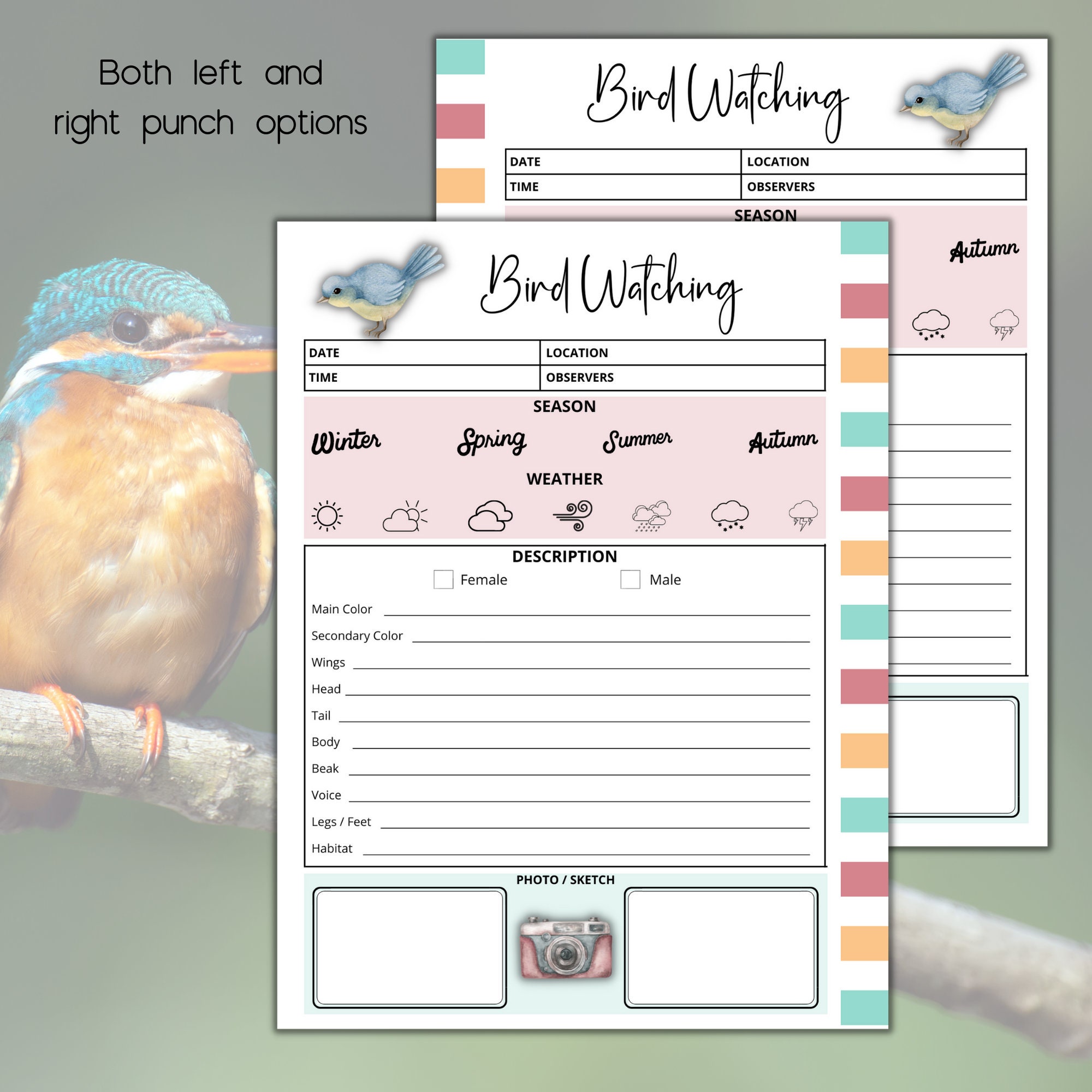 Bird Watching Log Book, Homeschool Bird Log, Bird Journal, Bird Watch ...