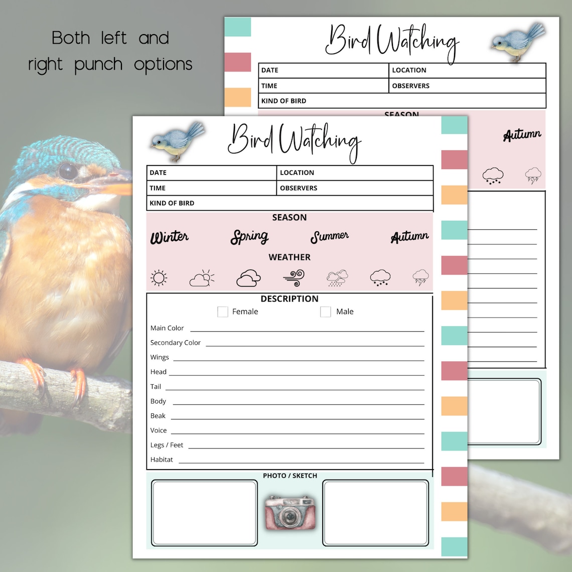 Bird Watching Log Book, Homeschool Bird Log, Bird Journal, Bird Watch ...