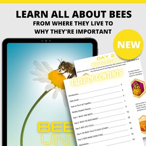 Bees Unit Study, Homeschool Unit Study, K-2 Homeschool, Bee Lapbook - Etsy