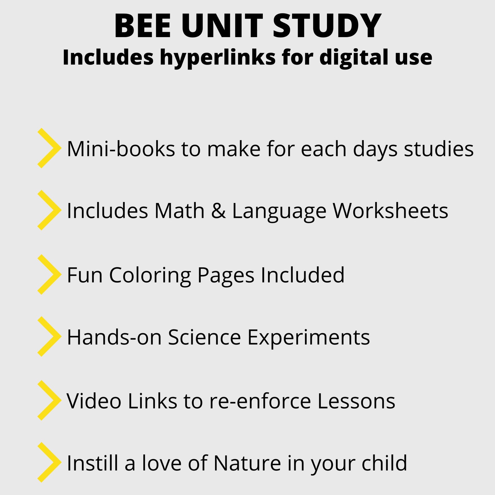 Bees Unit Study Homeschool Unit Study K-2 Homeschool Bee - Etsy