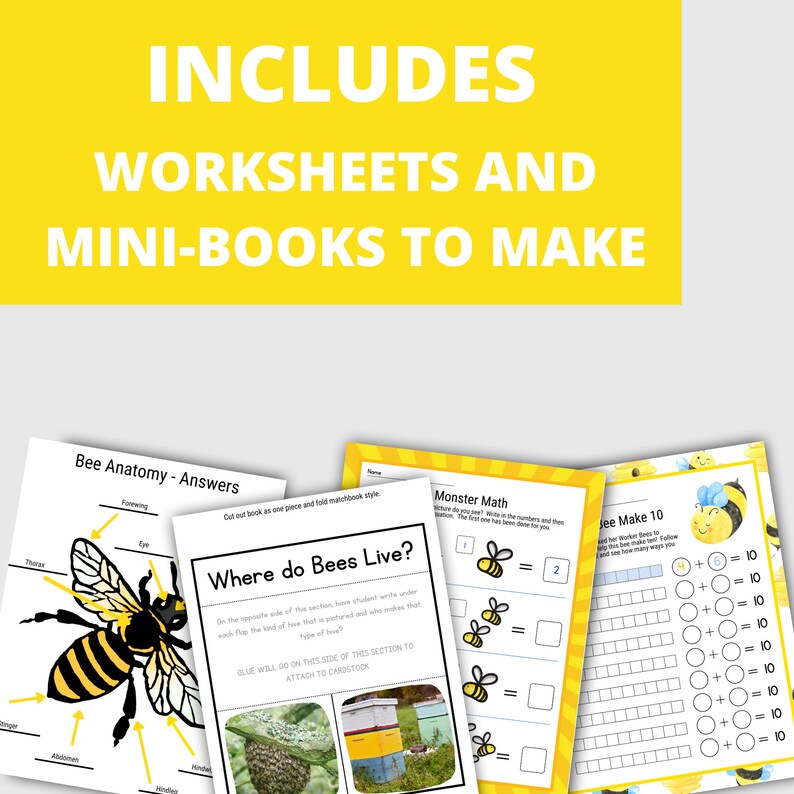 Bees Unit Study, Homeschool Unit Study, K-2 Homeschool, Bee Lapbook - Etsy