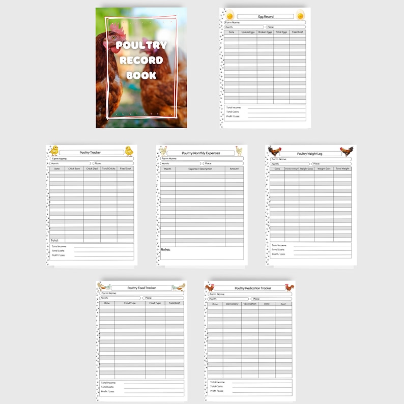 Chicken Record Book, Poultry Record Book, Chicken Journal, 4H Journal ...