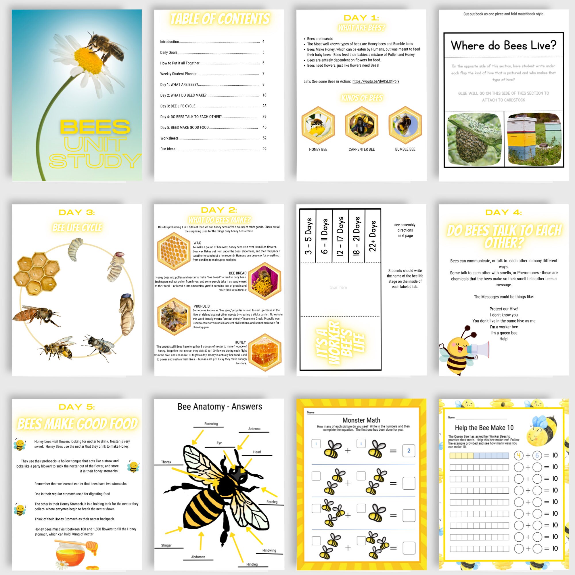 Bees Unit Study, Homeschool Unit Study, K-2 Homeschool, Bee Lapbook - Etsy