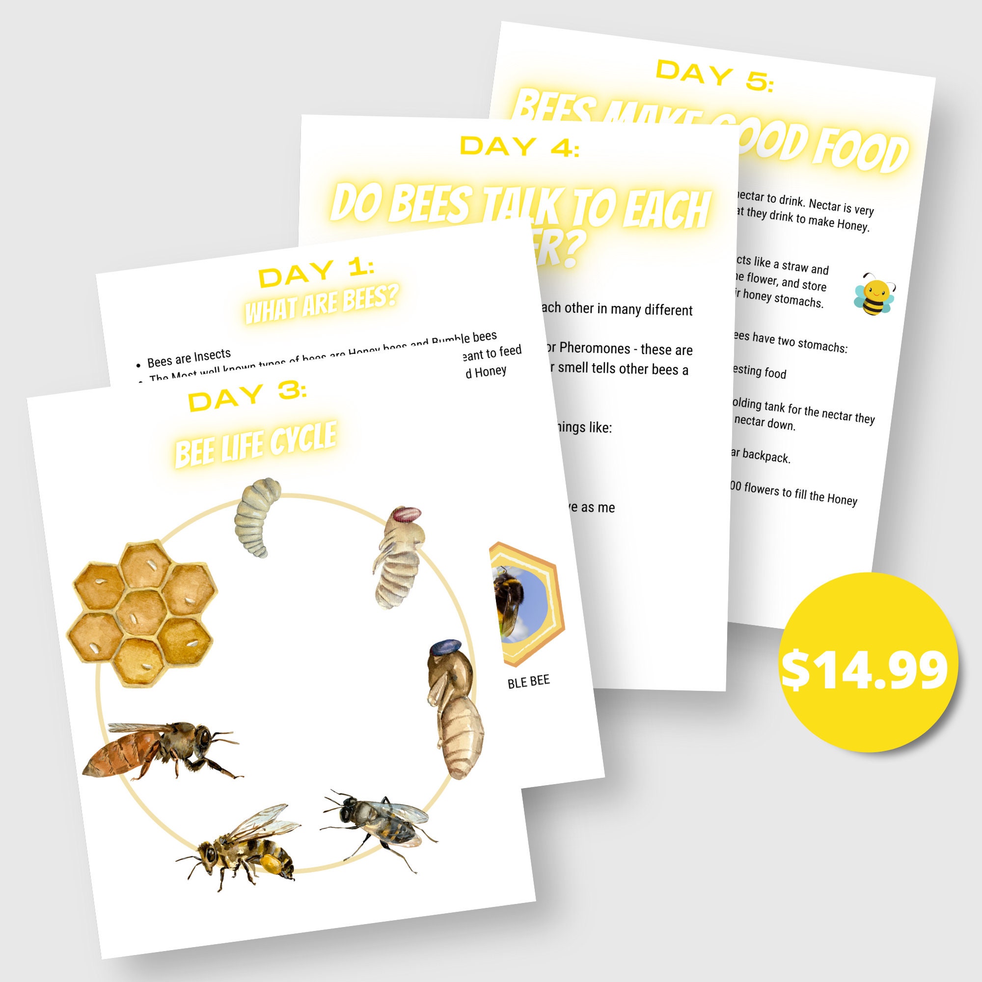 Bees Unit Study, Homeschool Unit Study, K-2 Homeschool, Bee Lapbook - Etsy