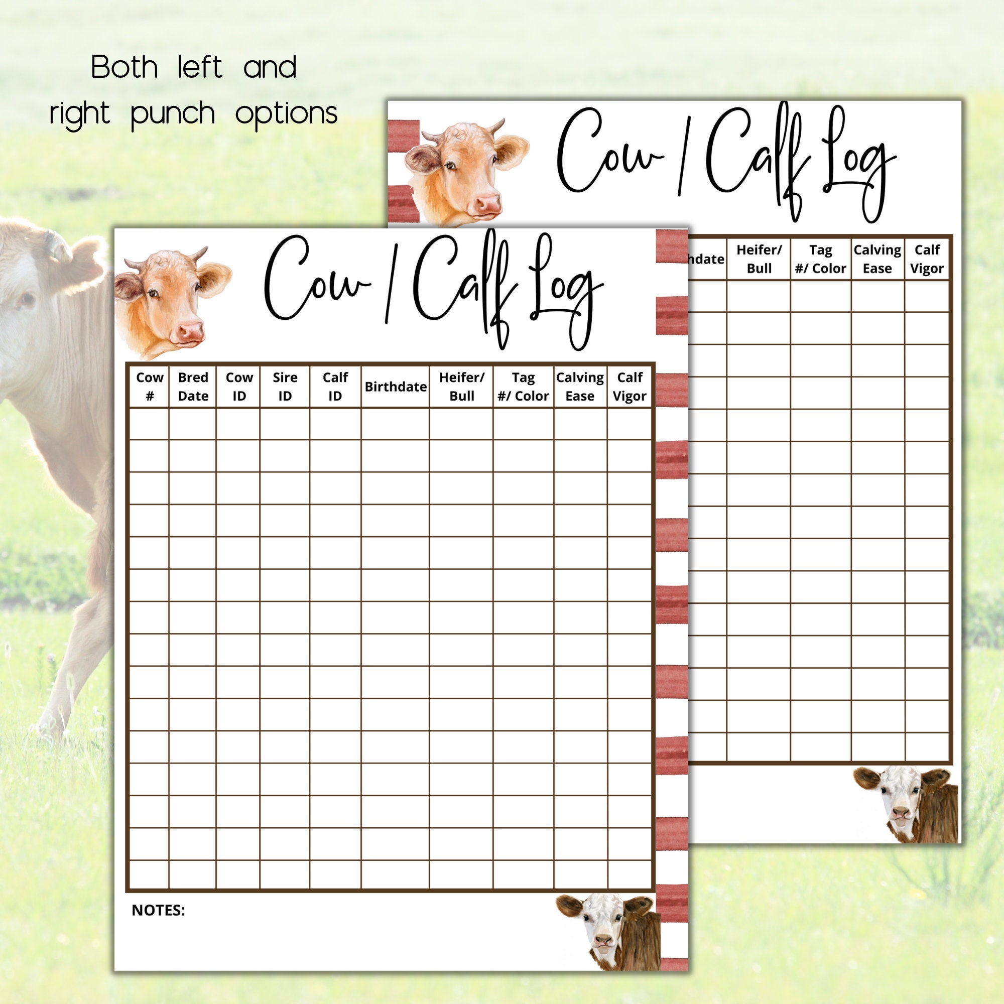 Beef Calving Logbook, Cow Calf Record Book, Cow Calf Log, Cattle Record ...