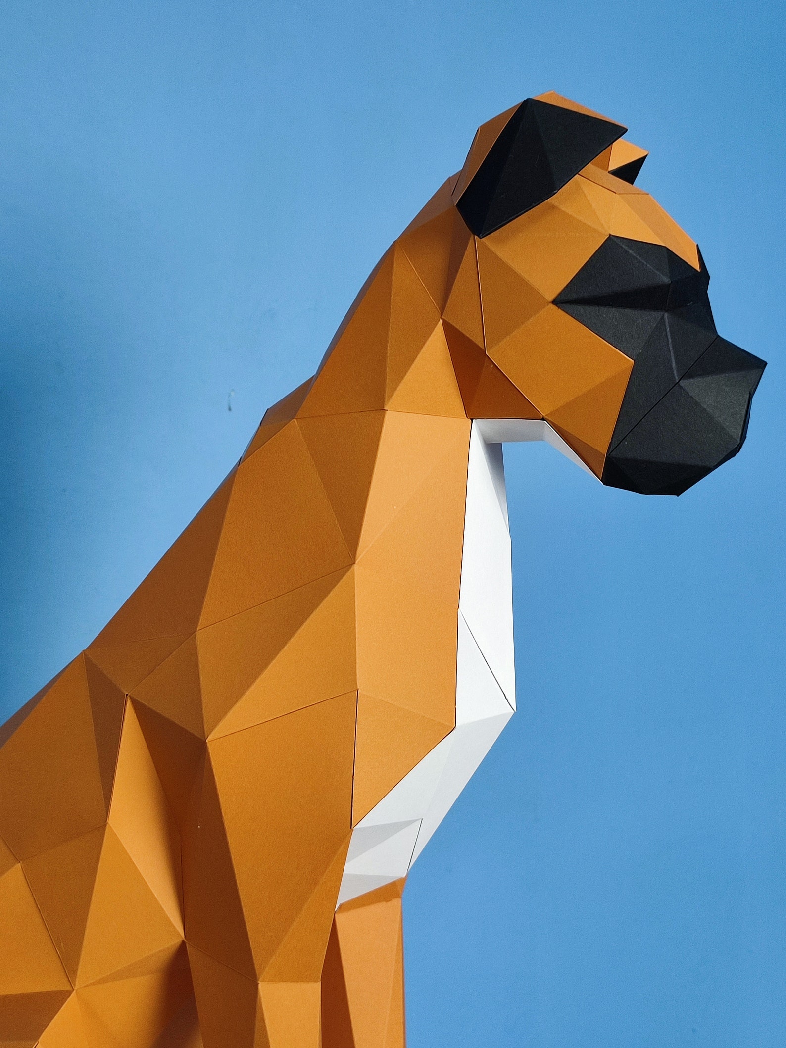 BOXER DOG 3d Lowpoly Papercraft TEMPLATE - Digital Downloadable ...