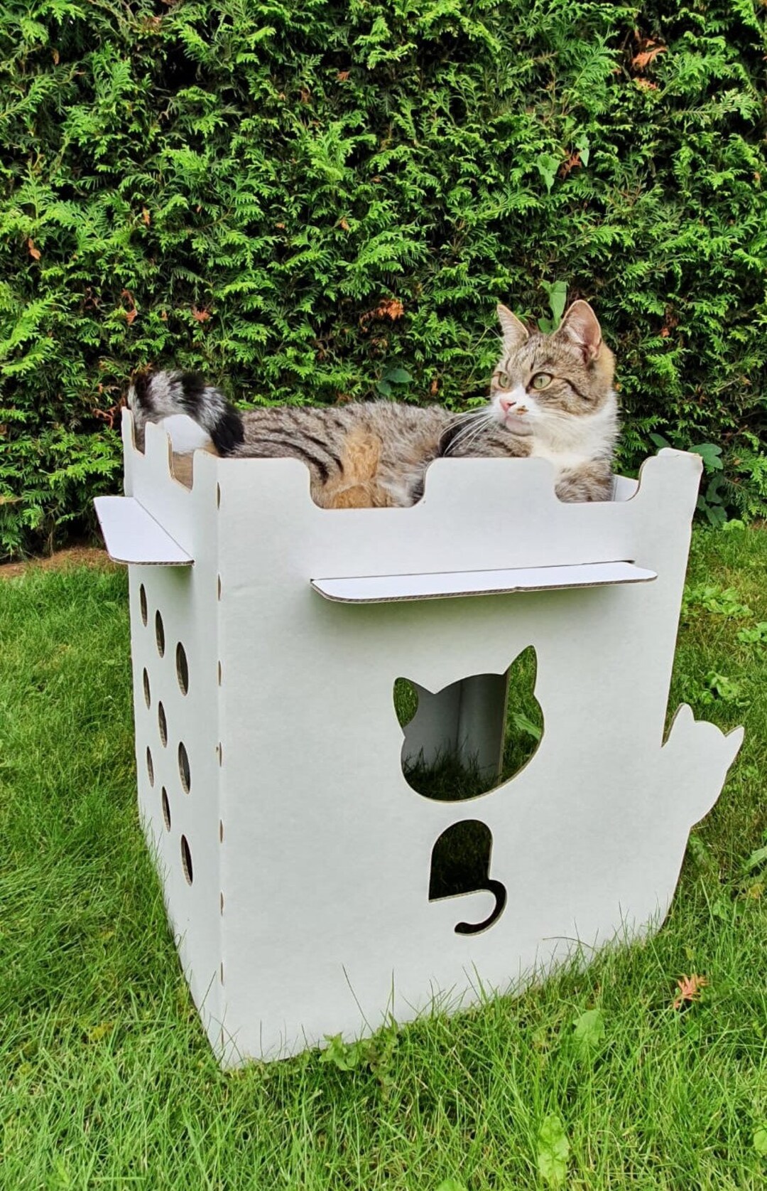 Cat's Cardboard Modern Style House Cube. Cat Bed. Ecofriendly. - Etsy