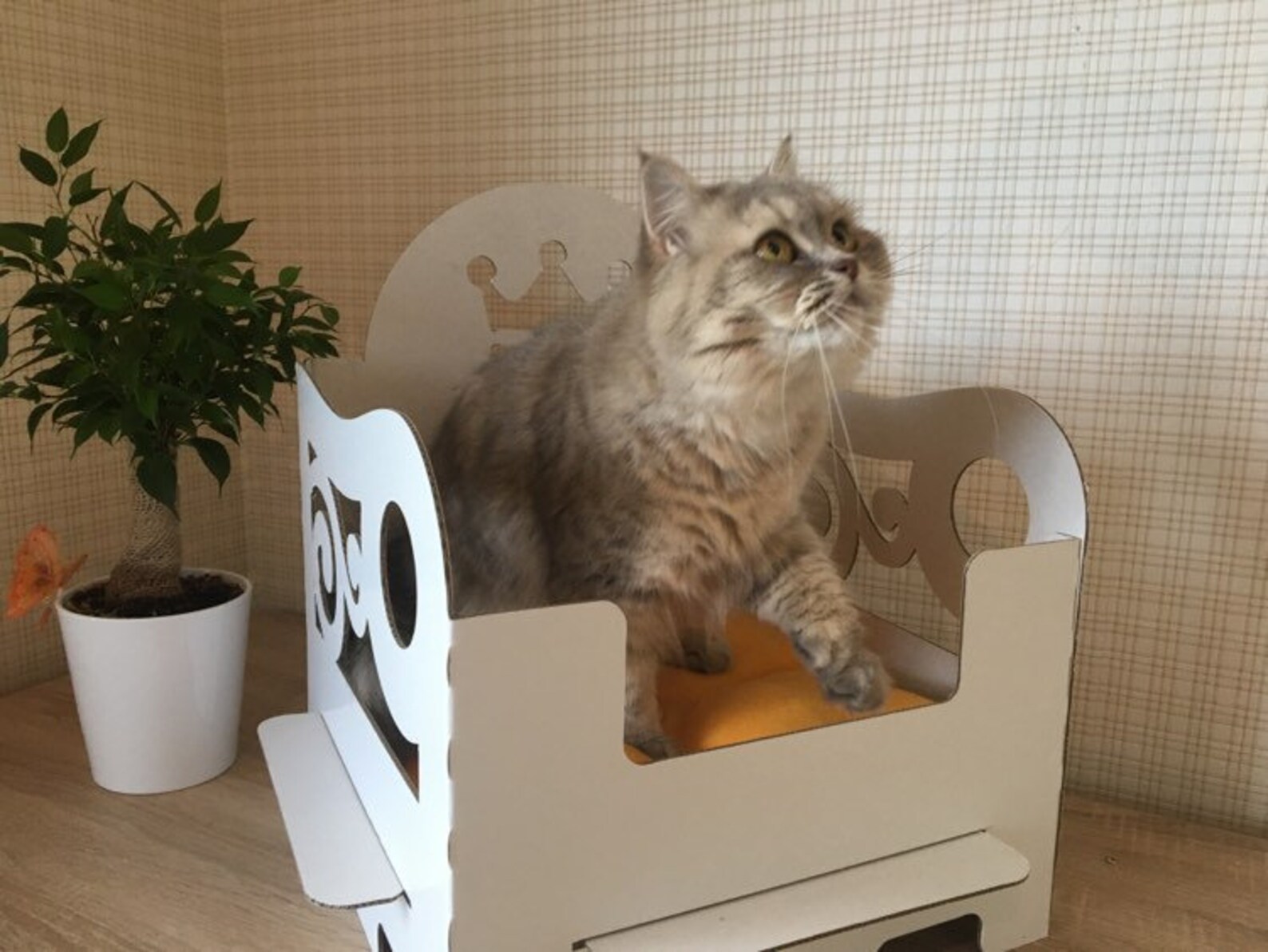 White Cardboard Cat's Bed Throne. Pet Bed. Ecofriendly. | Etsy