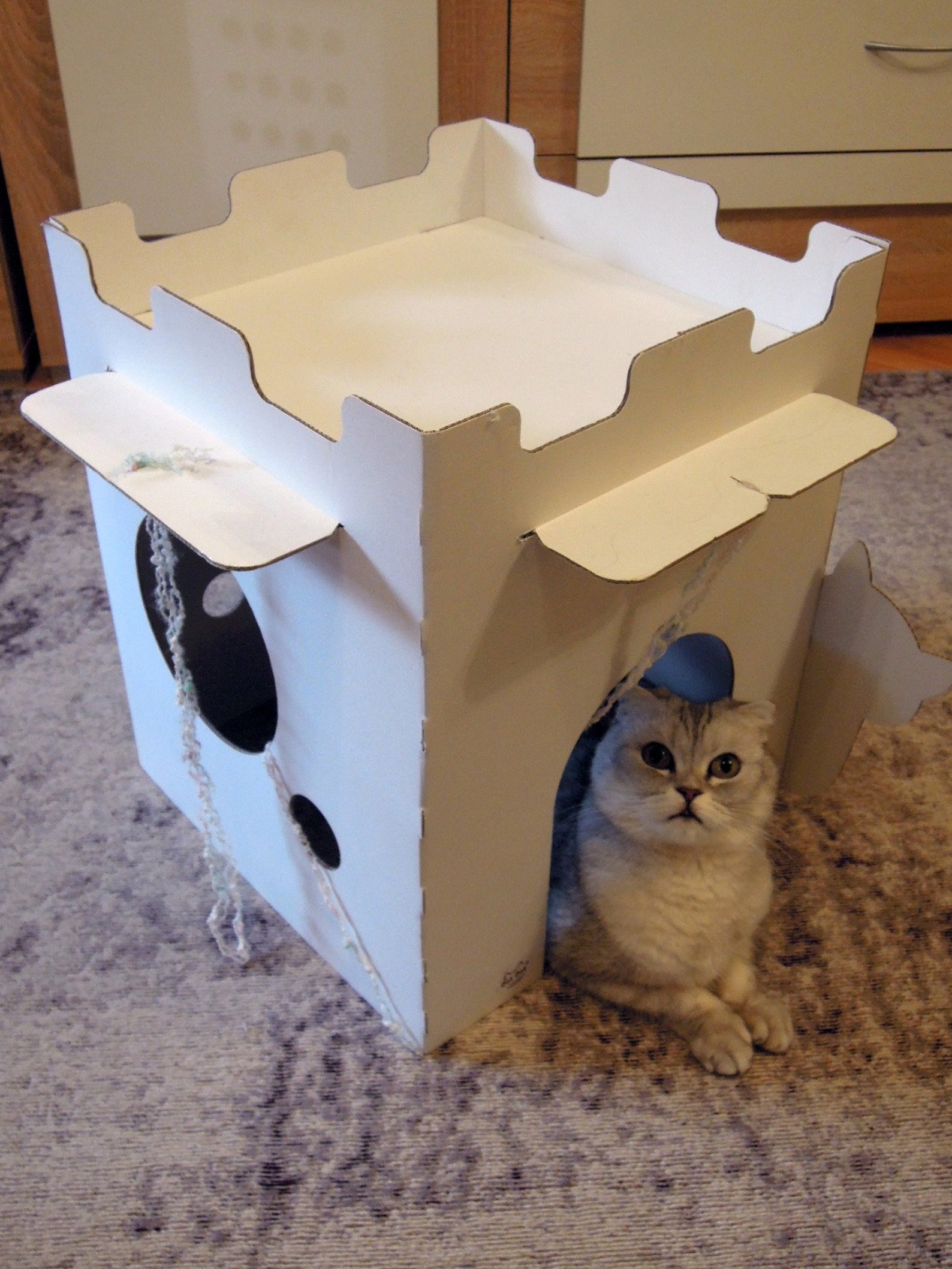 Cat's Cardboard Modern Style House Cube. Cat Bed. | Etsy