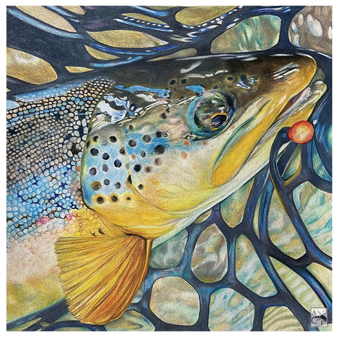Brown Trout Hyperrealism Print, Fly Fishing, Supporting River Charities ...