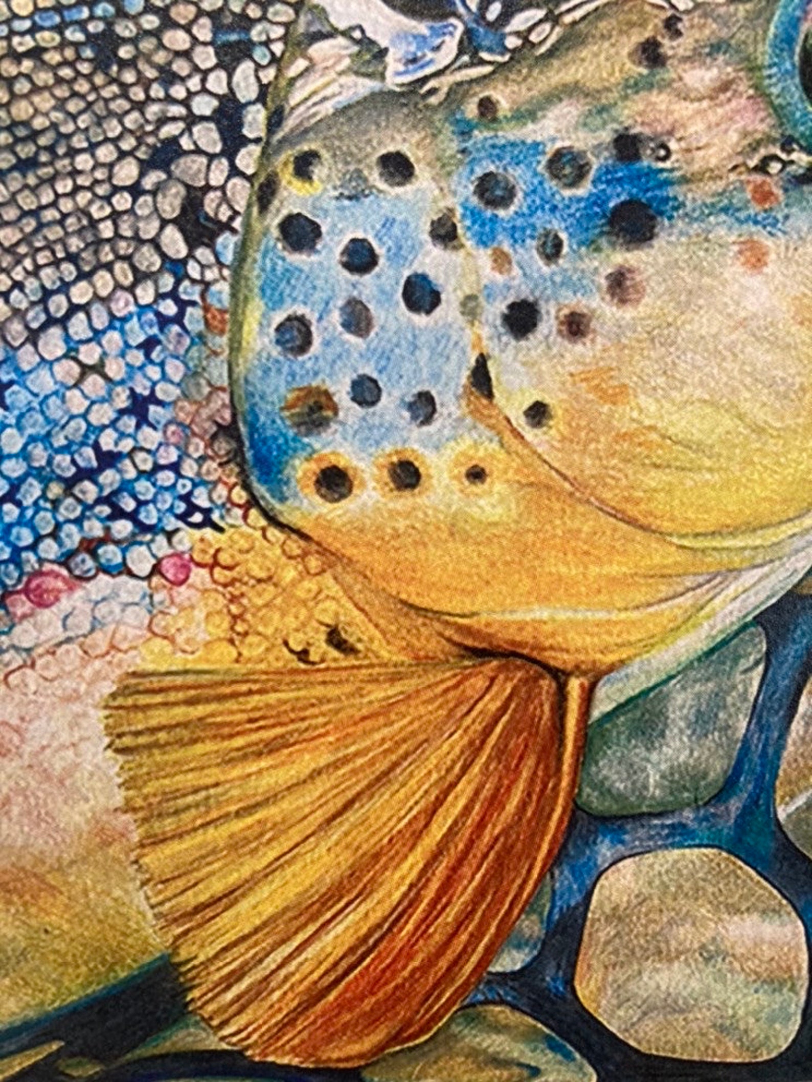 Brown Trout Hyperrealism Print, Fly Fishing, Supporting River Charities ...