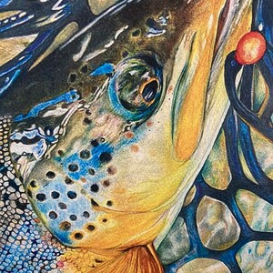 Brown Trout Hyperrealism Print, Fly Fishing, Supporting River Charities ...